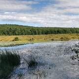 Knight's Pond Preserve , Maine - 237 Reviews, Map | AllTrails