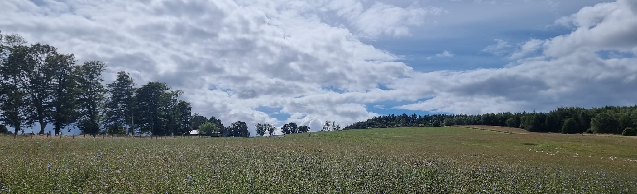 Wormit to Balmerino Abbey Circular, Fife, Scotland - 35 Reviews, Map ...