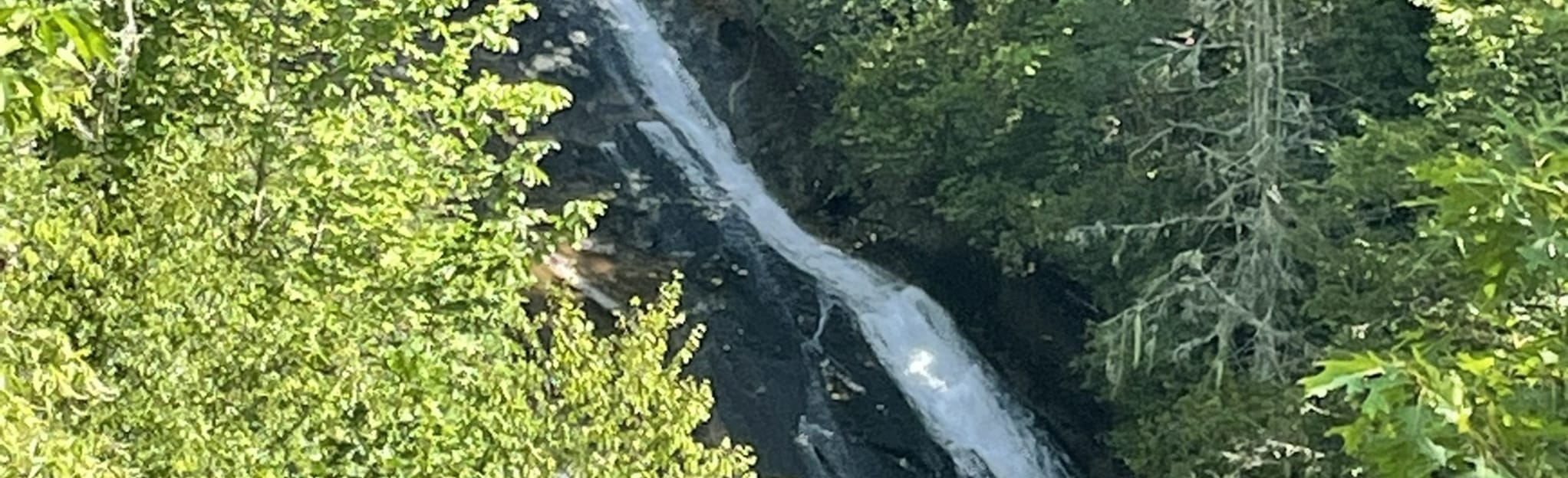 Upper Bearwallow Falls Trail, North Carolina - 349 Reviews, Map | AllTrails