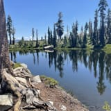 Long Lake Loop Trail, California - 285 Reviews, Map | AllTrails