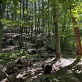 Middlesex Fells Reservation Loop Trail, Massachusetts - 527 Reviews ...