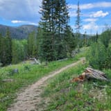 Gould Loop Trail, Colorado - 156 Reviews, Map | AllTrails