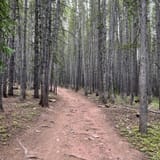 Boreas Pass Road and Baker's Tank Trail Loop, Colorado - 671 Reviews ...
