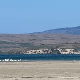 Limantour Beach Trail, California - 361 Reviews, Map | AllTrails