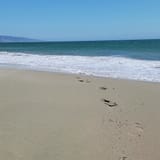 Limantour Beach Trail, California - 361 Reviews, Map | AllTrails