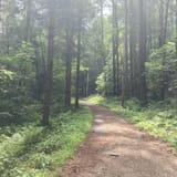 Mount Toby Trail, Massachusetts - 952 Reviews, Map | AllTrails