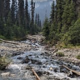 Numa Creek Trail, British Columbia, Canada - 96 Reviews, Map | AllTrails