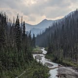 Numa Creek Trail, British Columbia, Canada - 96 Reviews, Map | AllTrails