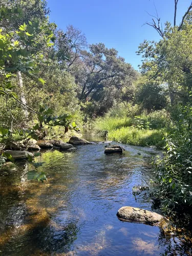 Best Hikes and Trails in Elfin Forest Recreational Reserve | AllTrails