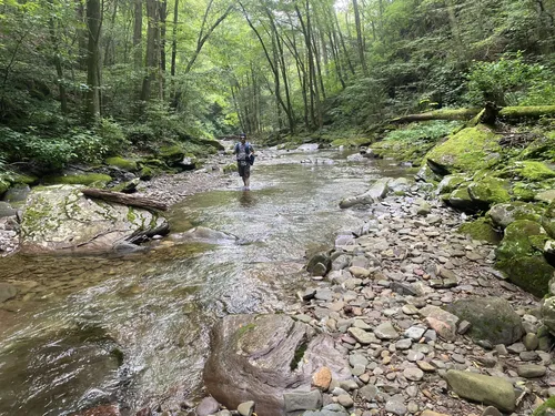 Best Hikes and Trails in Tyler Arboretum | AllTrails