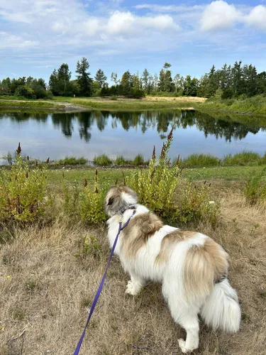 Best Hikes and Trails in Jackman Wetlands Park | AllTrails