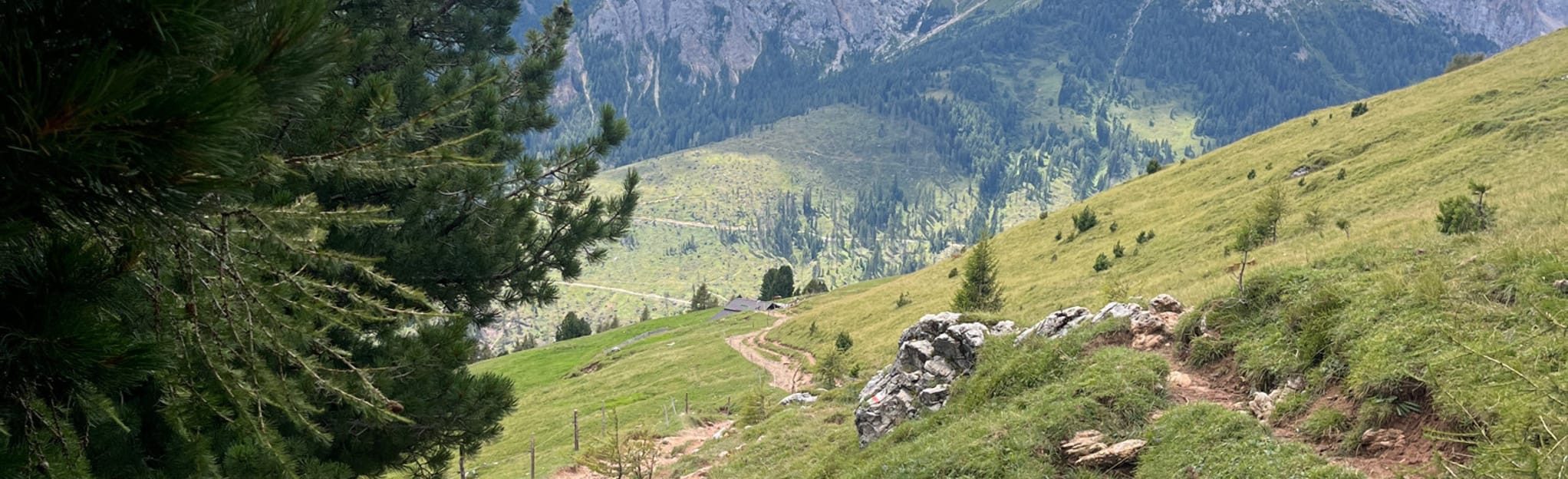 Passo di Costalunga - Rifugio Paolina - Col de Ciampac: 21 Reviews, Map ...