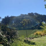 Stow Lake and Strawberry Hill Loop, California - 1,286 Reviews, Map ...