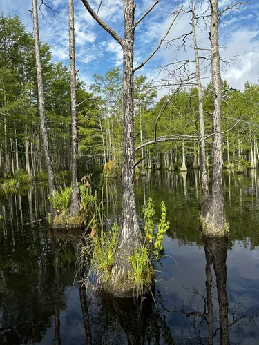 2023 Best Easy Trails in Spring Lake | AllTrails