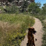Turtle Rock Loop Trail, Wyoming - 1,055 Reviews, Map | AllTrails