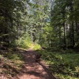 Upper Priest Lake Navigation Trail, Idaho - 251 Reviews, Map | AllTrails