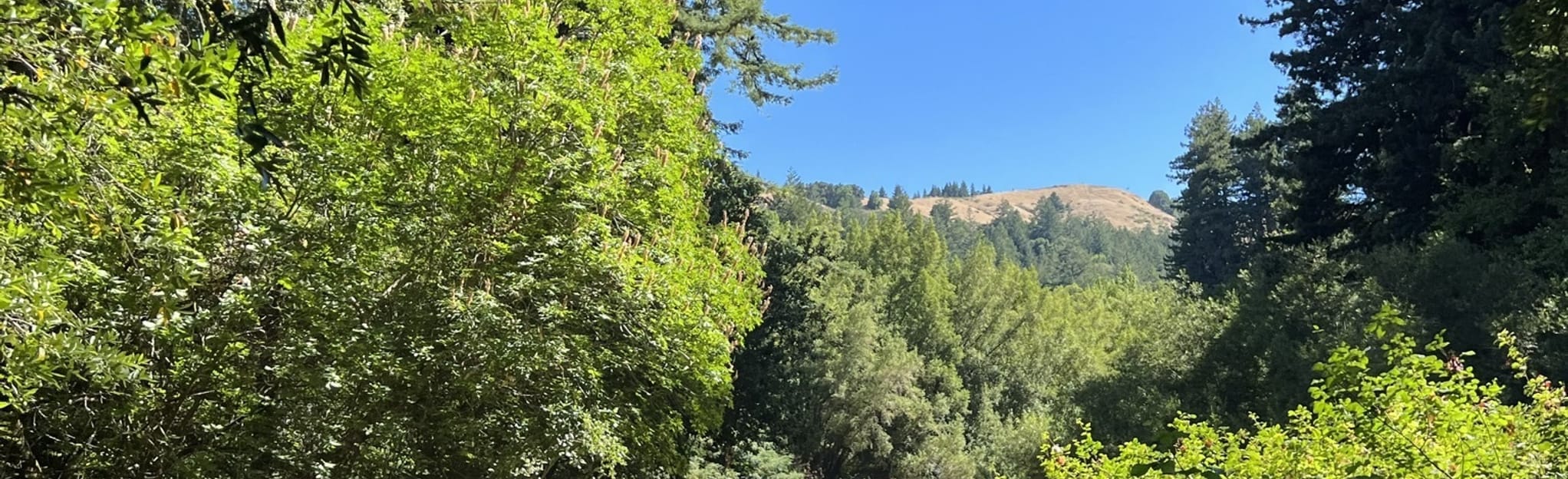 Lucas Valley Cycle Loop, California - 32 Reviews, Map | AllTrails