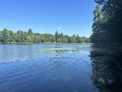 Best Hikes and Trails in Murphy's Point Provincial Park | AllTrails