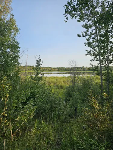 2023 Best 10 Trails and Hikes in Antler Lake | AllTrails