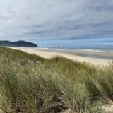 Bayocean Peninsula, Oregon - 687 Reviews, Map | AllTrails