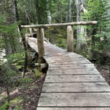 Little Harbor Brook Trail, Maine - 185 Reviews, Map | AllTrails