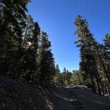 Mary Jane Falls Trail [CLOSED], Nevada - 4,696 Reviews, Map | AllTrails