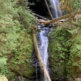 Murhut Falls Trail, Washington - 852 Reviews, Map | AllTrails