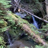 Murhut Falls Trail, Washington - 852 Reviews, Map | AllTrails