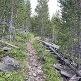 Casey Meadows Trail, Montana - 165 Reviews, Map | AllTrails