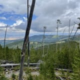 Casey Meadows Trail, Montana - 165 Reviews, Map | AllTrails
