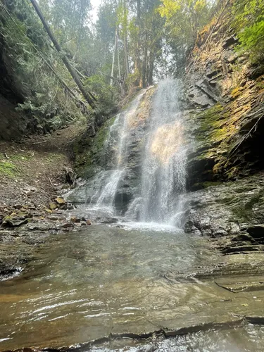 Best Hikes and Trails in Fletcher Creek Falls Recreation Site | AllTrails