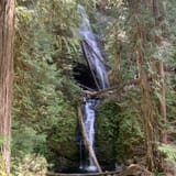 Murhut Falls Trail, Washington - 852 Reviews, Map | AllTrails