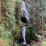 Murhut Falls Trail, Washington - 852 Reviews, Map | AllTrails