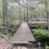 Fort Barton/Sin and Flesh Brook Trail, Rhode Island - 1,181 Reviews ...