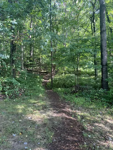 Best Hikes and Trails in Marilla Park | AllTrails