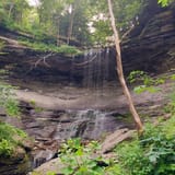 Tinker Falls Trail, New York - 552 Reviews, Map | AllTrails