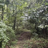 Norwalk Reservoir, Ohio - 52 Reviews, Map | AllTrails