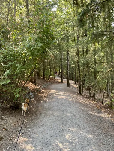 Best Hikes and Trails in Noel Booth Community Park | AllTrails