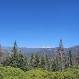 Muir Grove Trail, California - 350 Reviews, Map | AllTrails
