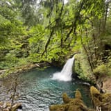 Kalama Falls Trail, Washington - 516 Reviews, Map | AllTrails