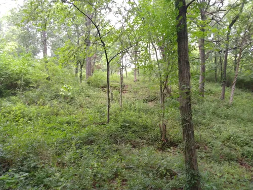 Best Hikes and Trails in George Owens Nature Park | AllTrails