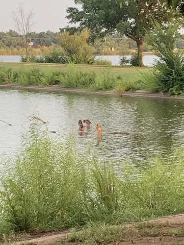 Best Hikes and Trails in Boomer Lake Park | AllTrails