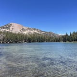McLeod Lake Trail, California - 828 Reviews, Map | AllTrails