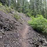 Linton Lake Trail, Oregon - 224 Reviews, Map | AllTrails