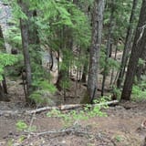 Linton Lake Trail, Oregon - 224 Reviews, Map | AllTrails