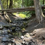 Linton Lake Trail, Oregon - 224 Reviews, Map | AllTrails