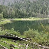 Linton Lake Trail, Oregon - 224 Reviews, Map | AllTrails