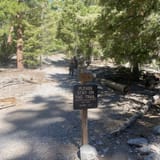 Mary Jane Falls Trail, Nevada - 4,687 Reviews, Map | AllTrails