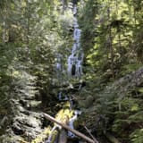 Proxy Falls Loop, Oregon - 1,093 Reviews, Map | AllTrails