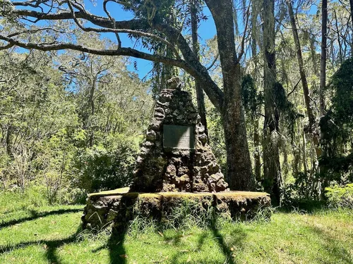 Best Hikes and Trails in Hilo Forest Reserve | AllTrails